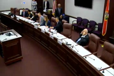 12/14/17 Constitution Revision Commission Local Government Committee ...