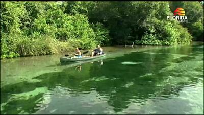 Capitol Update Extended - Southwest Florida Water Management District ...