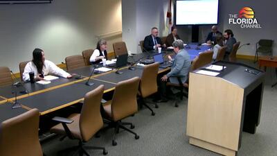 3/21/25 Revenue Estimating Impact Conference - The Florida Channel