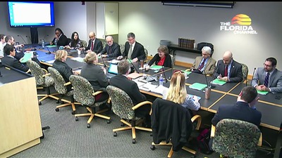 1/24/20 Revenue Estimating Impact Conference - The Florida Channel