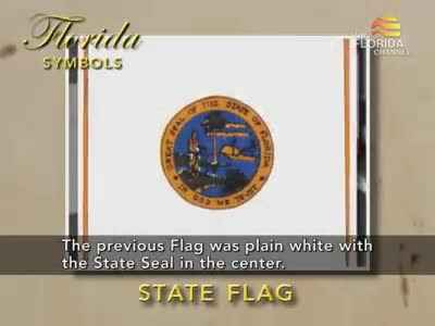 Florida Symbols - State Flag - The Florida Channel