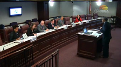 12/12/17 Constitution Revision Commission Finance & Taxation Committee ...