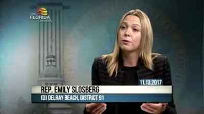 Perspectives – Representative Slosberg, Emily (D) - District 91 ...
