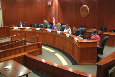 1/25/18 Constitution Revision Commission Declaration of Rights ...