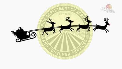 12/16/24 Capitol Update Extended - Santa Claus Cleared for Flying and ...