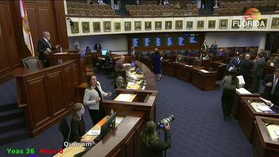 1/27/25 Senate Special Session B 11:07 AM - The Florida Channel