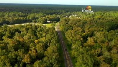 Florida Scenic Highways and Byways - Florida Black Bear Scenic Byway ...