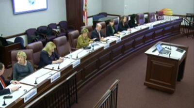 12/12/17 Constitution Revision Commission Rules and Administration ...