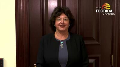 2/29/24 Press Availability with Senate President Kathleen Passidomo ...