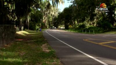 Florida Scenic Highways and Byways - William Bartram Scenic Highway ...