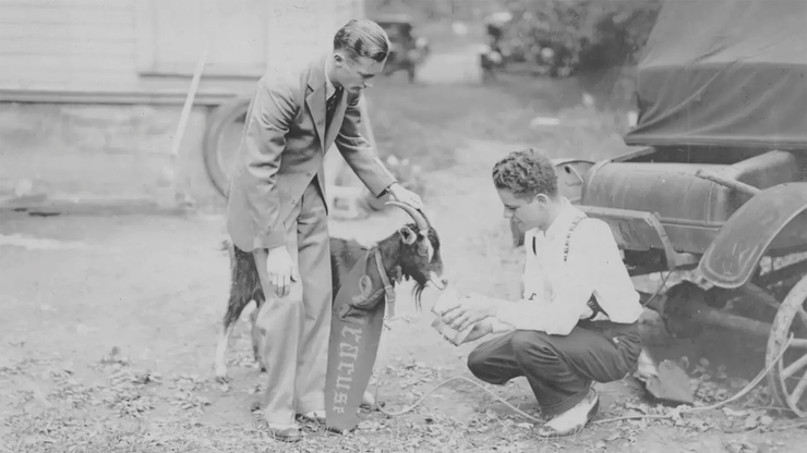 FYS 101 – The History of Syracuse University’s Mascot
