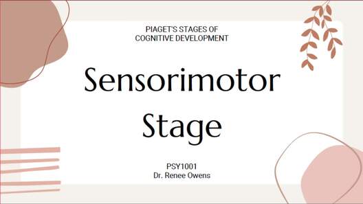 Cognitive Development-Sensorimotor Stage