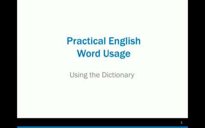 Using the Dictionary