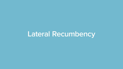 what is lateral recumbency