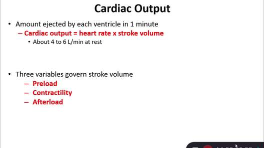 Cardiac Output