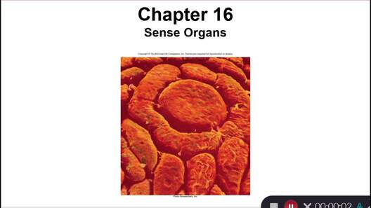 Sense Organs: General Senses Introduction