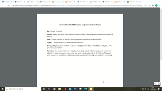 Proposal.annotated bib assignment