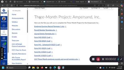 249 Three-Month Project Walk-Through Video