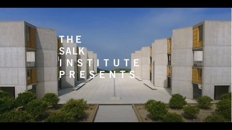 Salk Institute