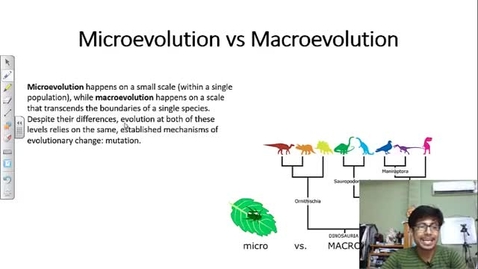 microevolution is defined as