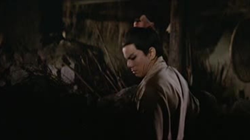 The Magnificent Trio (video/Drama:TU) (id: 1796) | Mometu