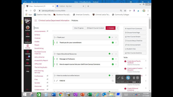 online lectures in Canvas