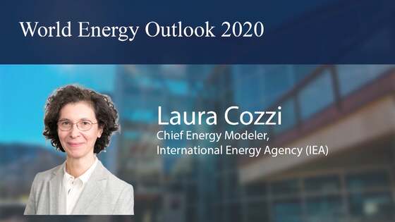 Payne Institute Fall Seminar Series: Laura Cozzi