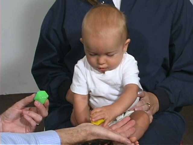 positive support reflex