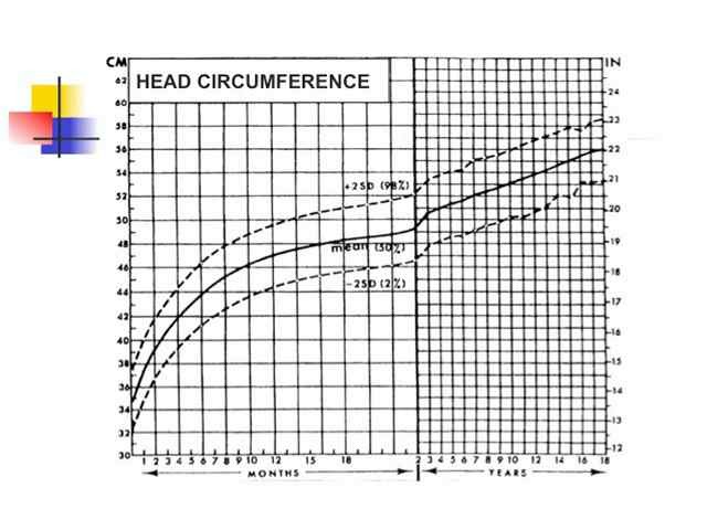 Growth Chart Head Circumference