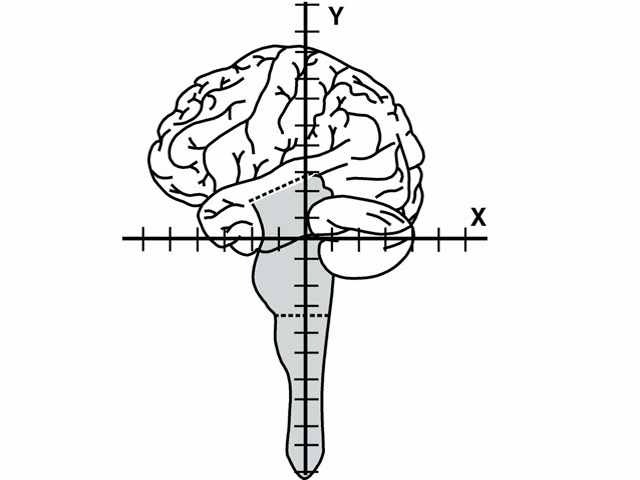 how to draw human in neuro exam