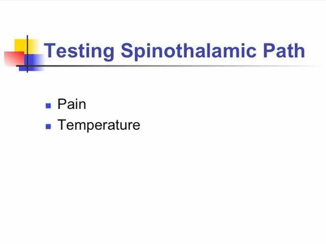 Neurologic Exam-Adult | Sensory Exam | Anatomy | Exam Tests