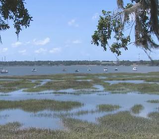 The Estuary | RiverVenture | Knowitall.org